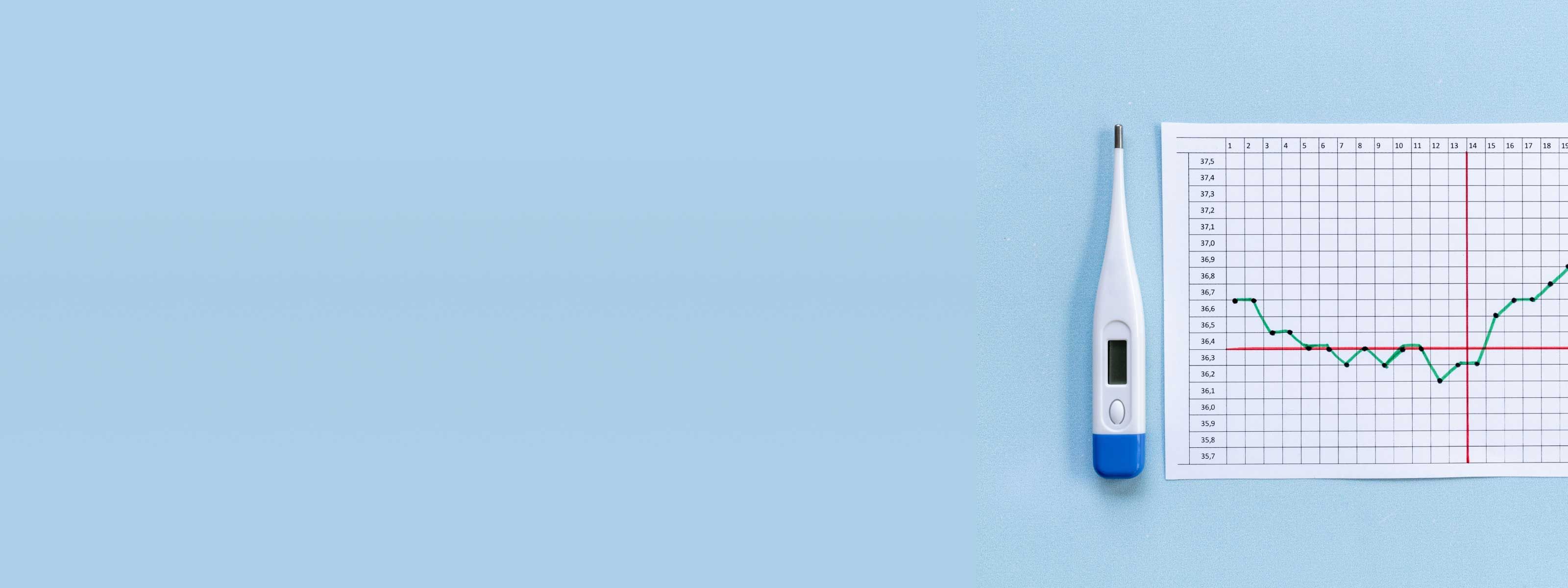 Understanding Basal Body Temperature | Wisp