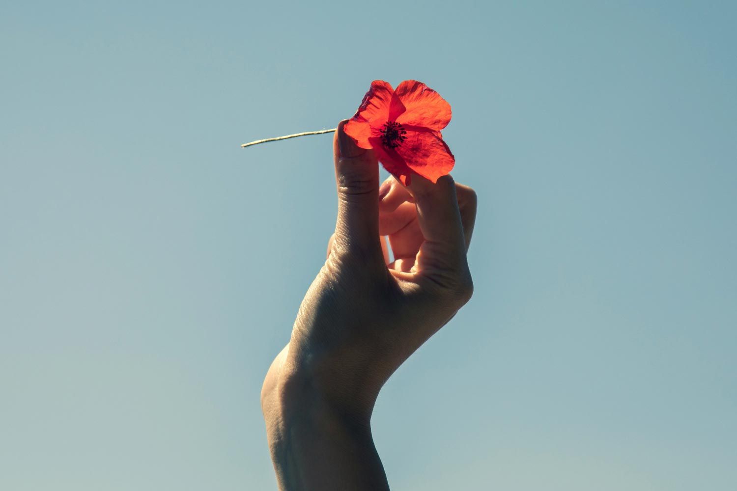 How to Age Gracefully: Natural Tips for Nutrition, Skin, Sleep, and ...