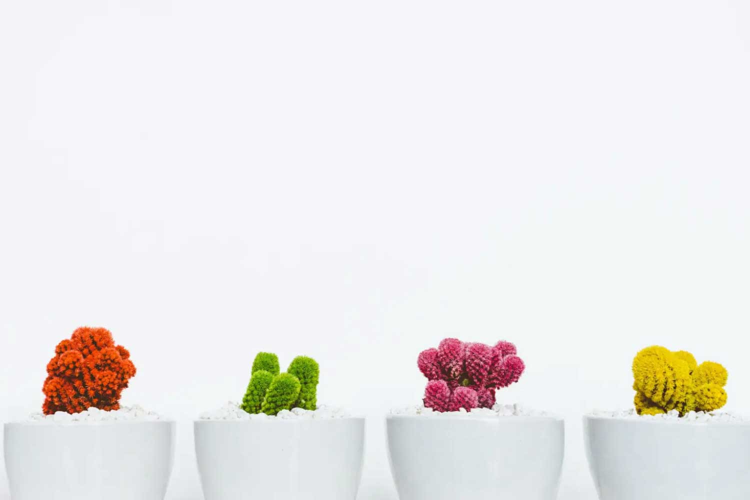 Understanding HSV 1 vs HSV 2: Key Differences | Wisp