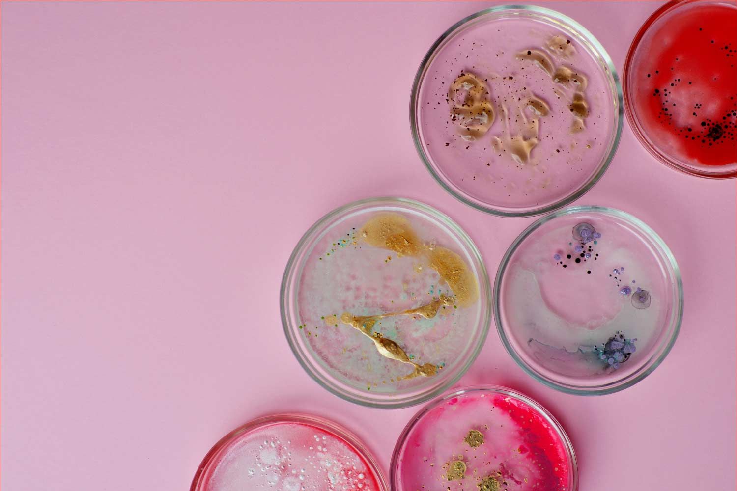 What You Need to Know About Mycoplasma and Ureaplasma | Wisp