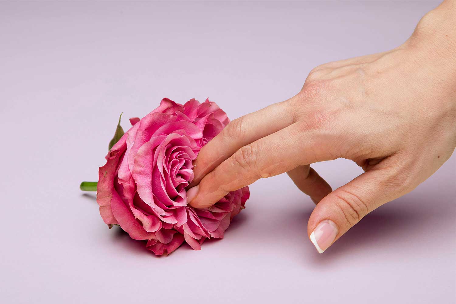 Your Sexual Health Wellness Guide Wisp