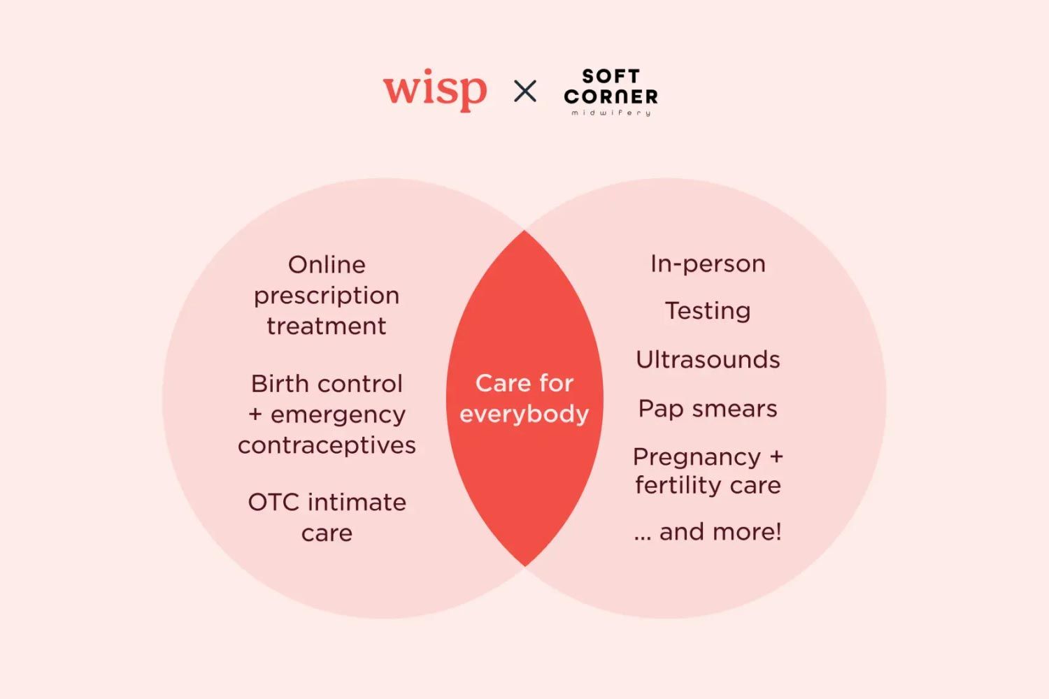 Wisp x Soft Corner Midwifery | Wisp